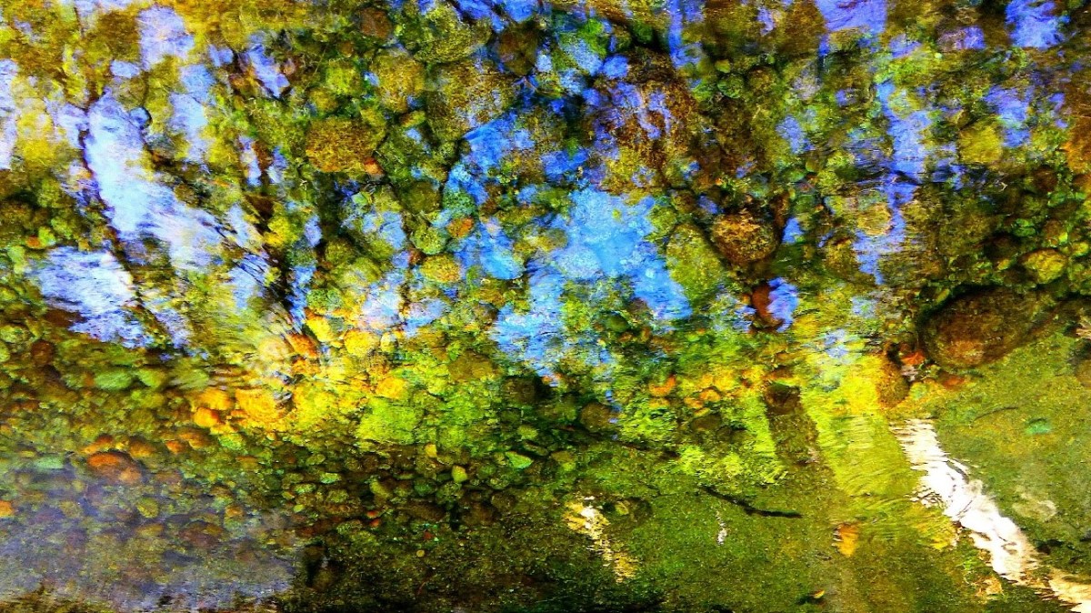 La Rendija – El Buddha Desnudo